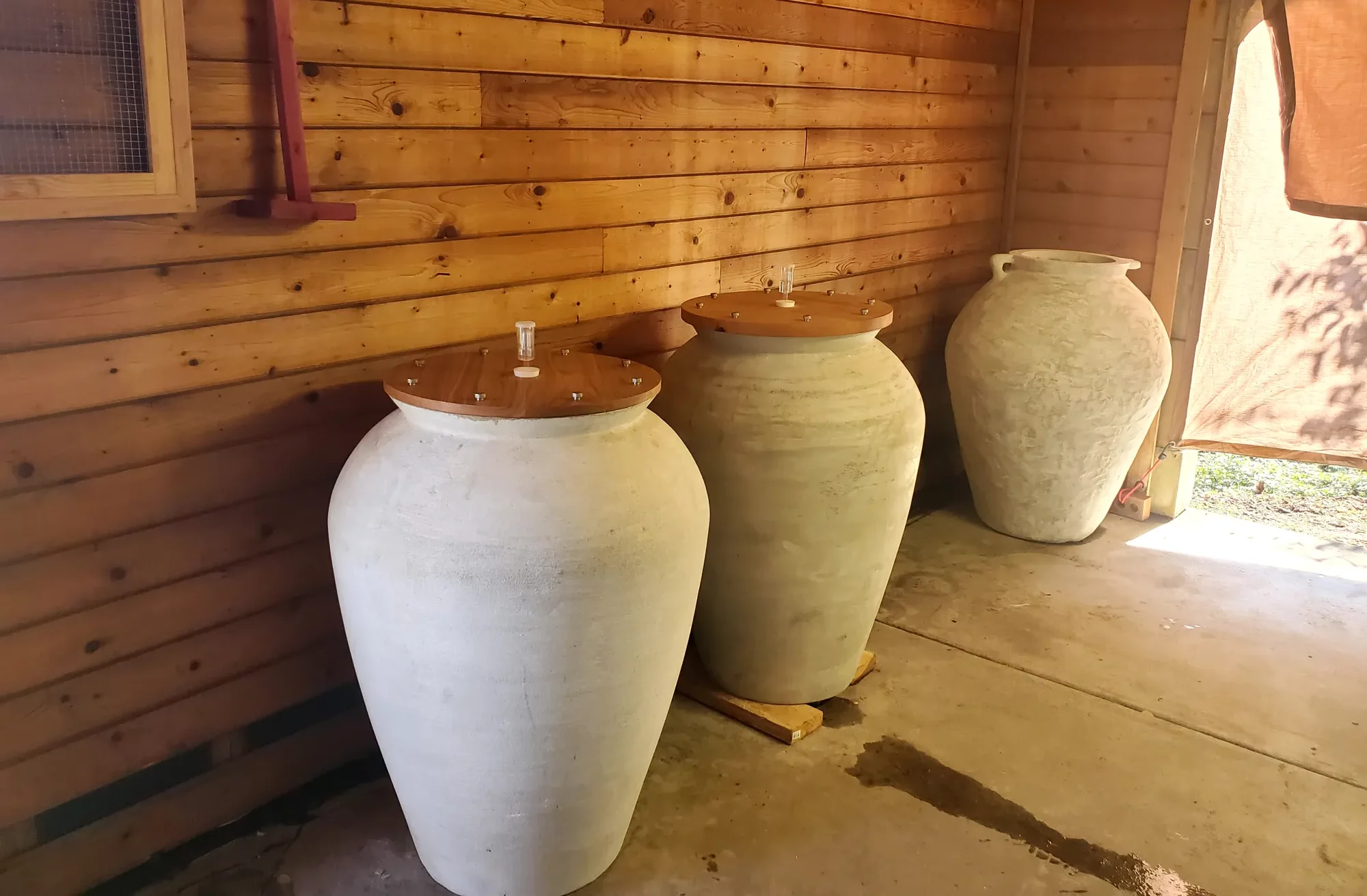 Winemaking - Seiji Estate